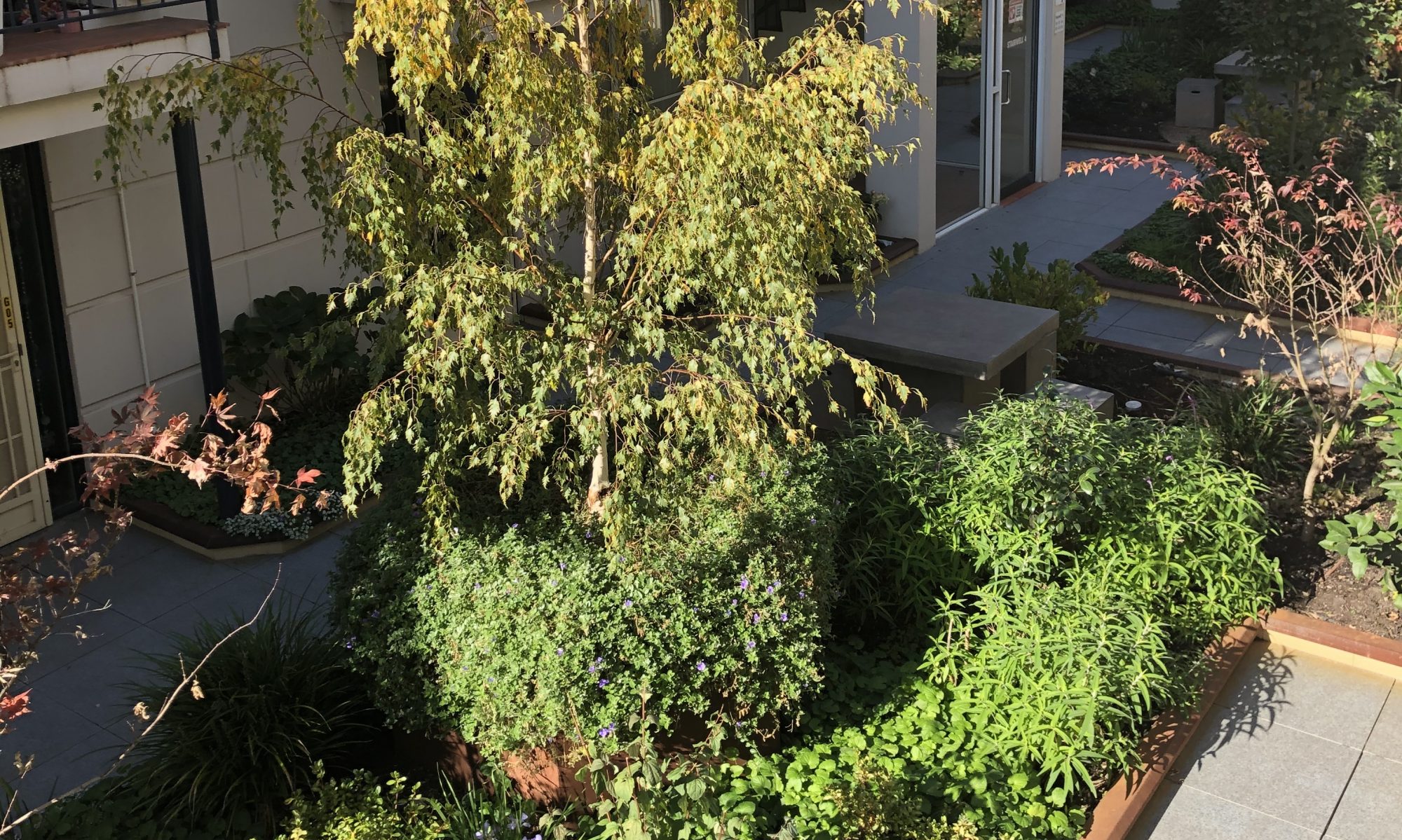 Garden – 101 Grattan