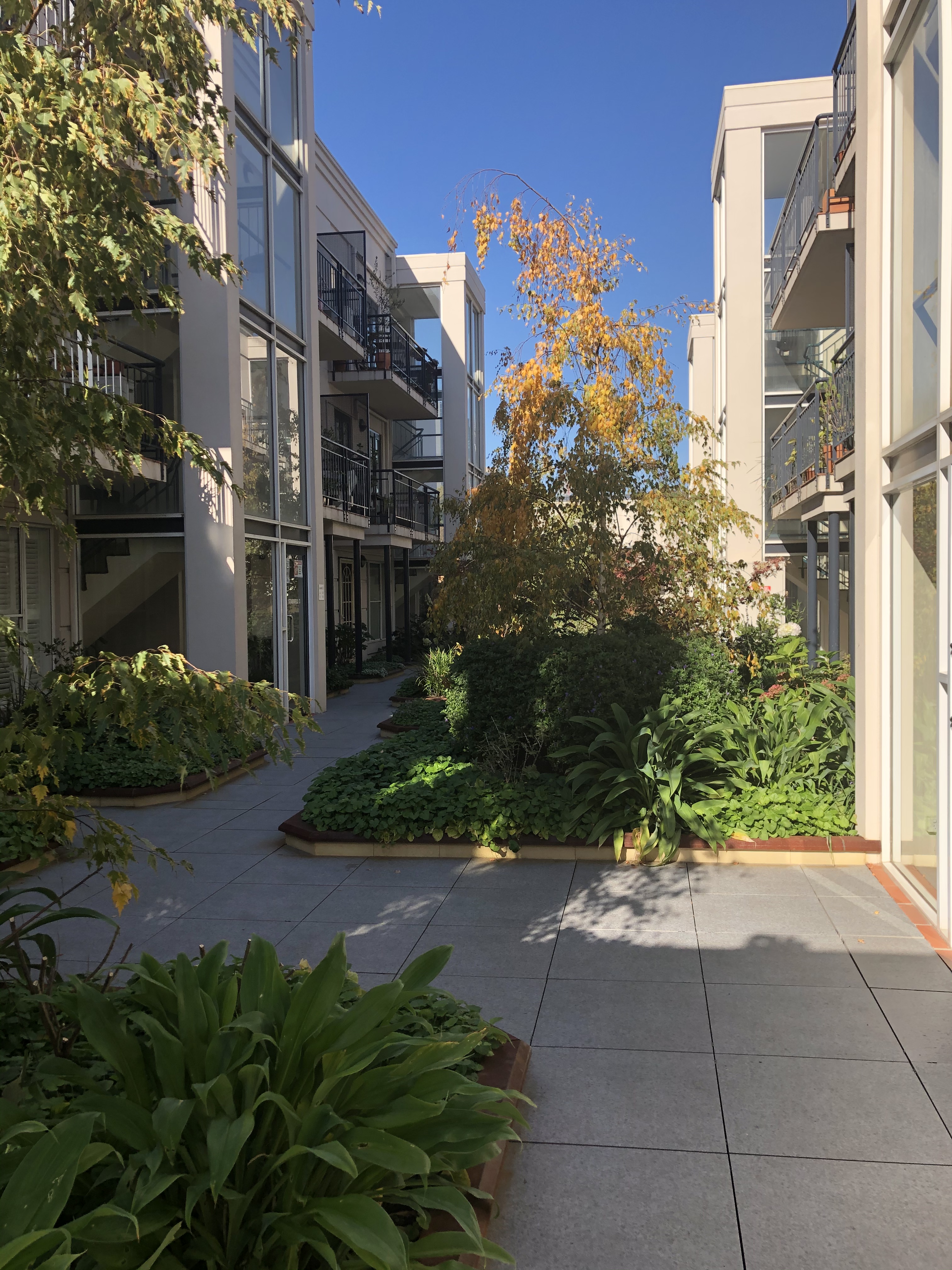 Common areas – 101 Grattan